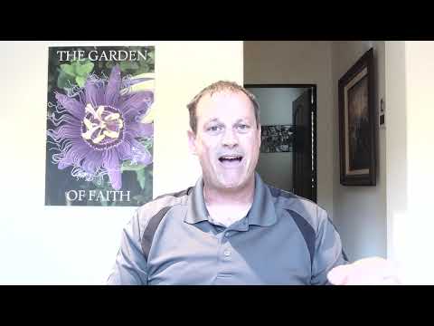 Spirit, Soul & Body Lesson 13 God's Supernatural Faith by Shannon ...