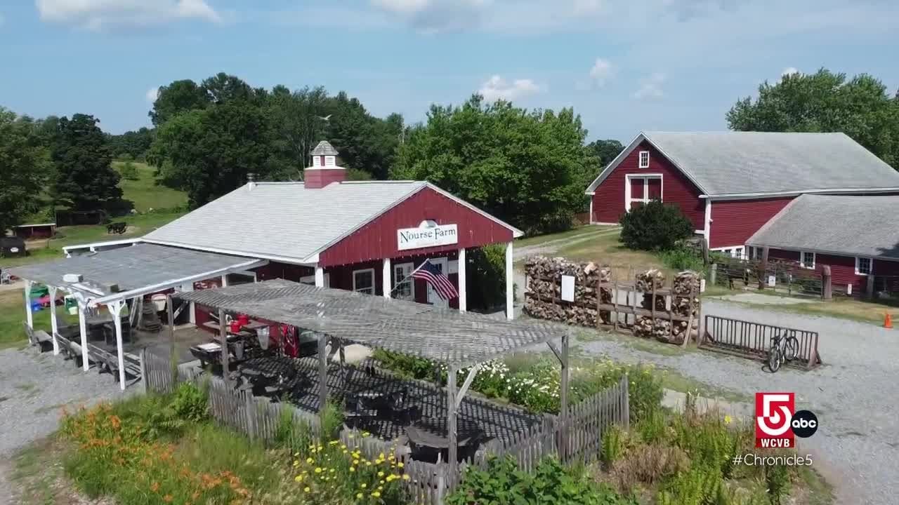 Nourse Farm in Westborough is both classic and contemporary - YouTube