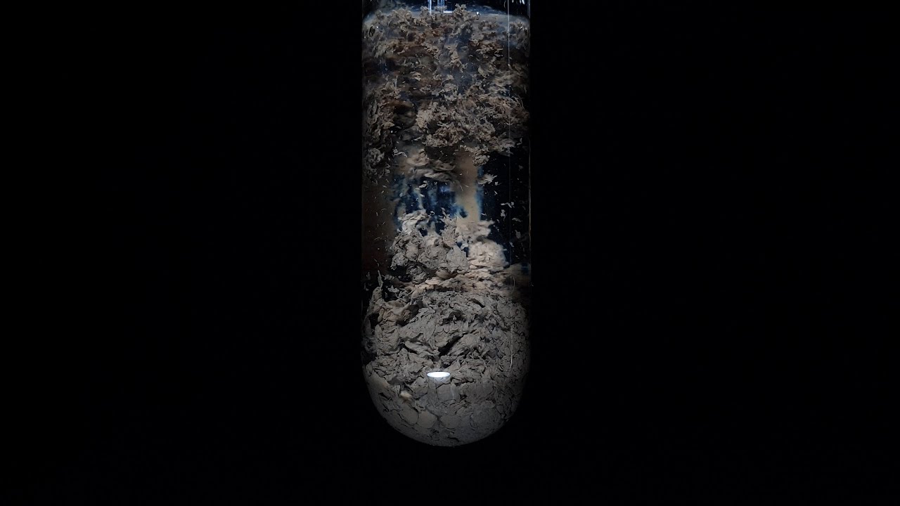 AgNO3 + NaOH (silver nitrate + sodium hydroxide) - YouTube