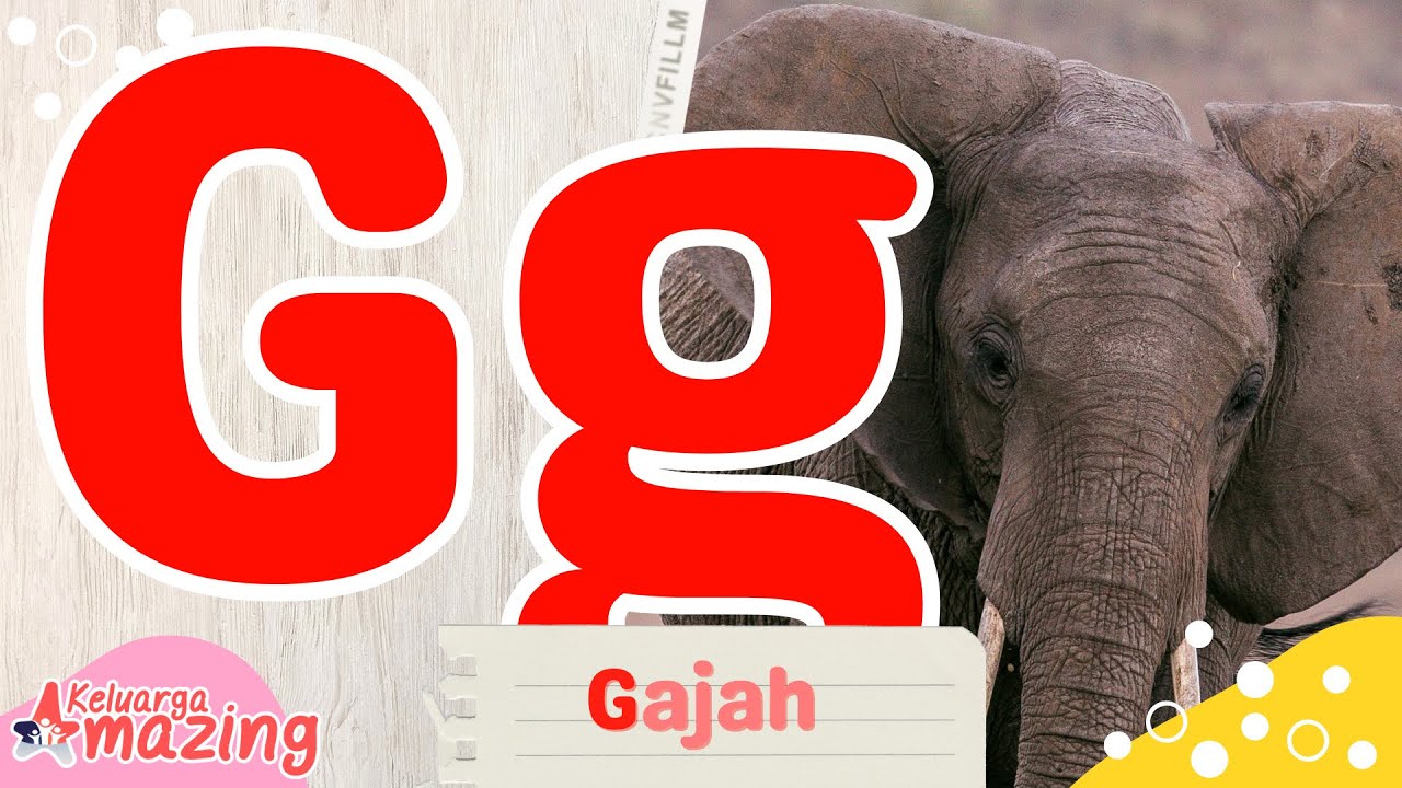 ABC Nama Hewan dan Buah Huruf G - YouTube