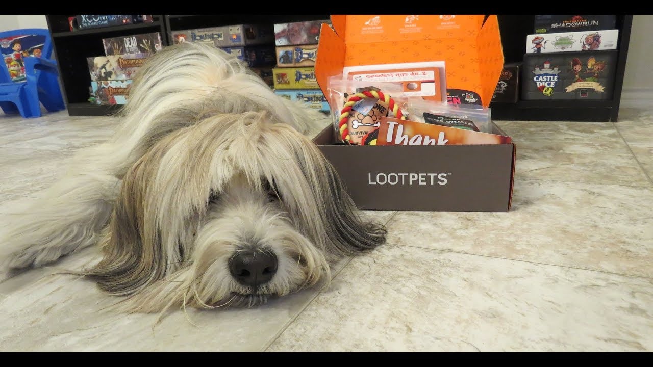 Loot Pets Unboxing December 2017 - YouTube