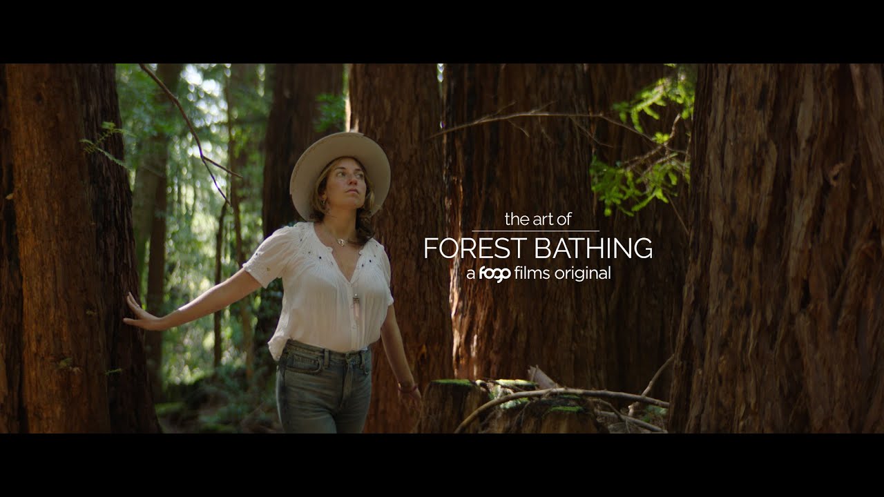 The Art Of Forest Bathing - YouTube