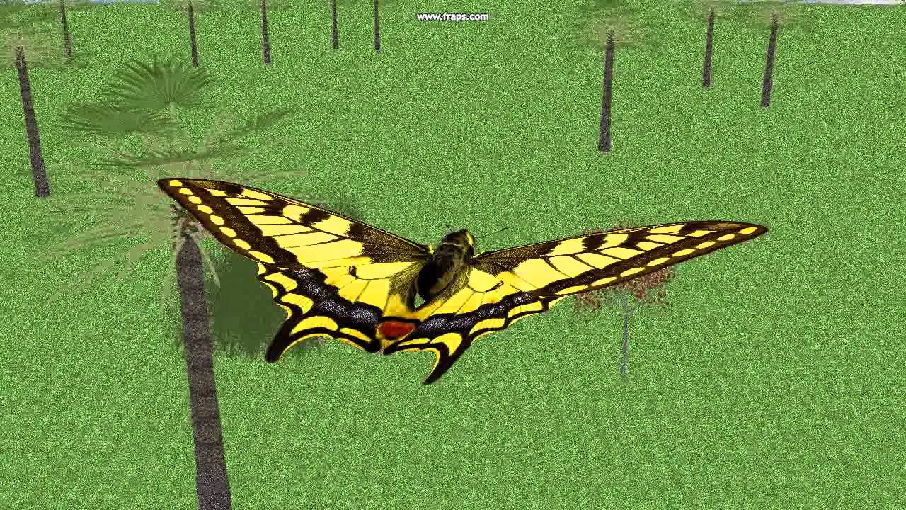 Butterfly Flight Simulator - YouTube