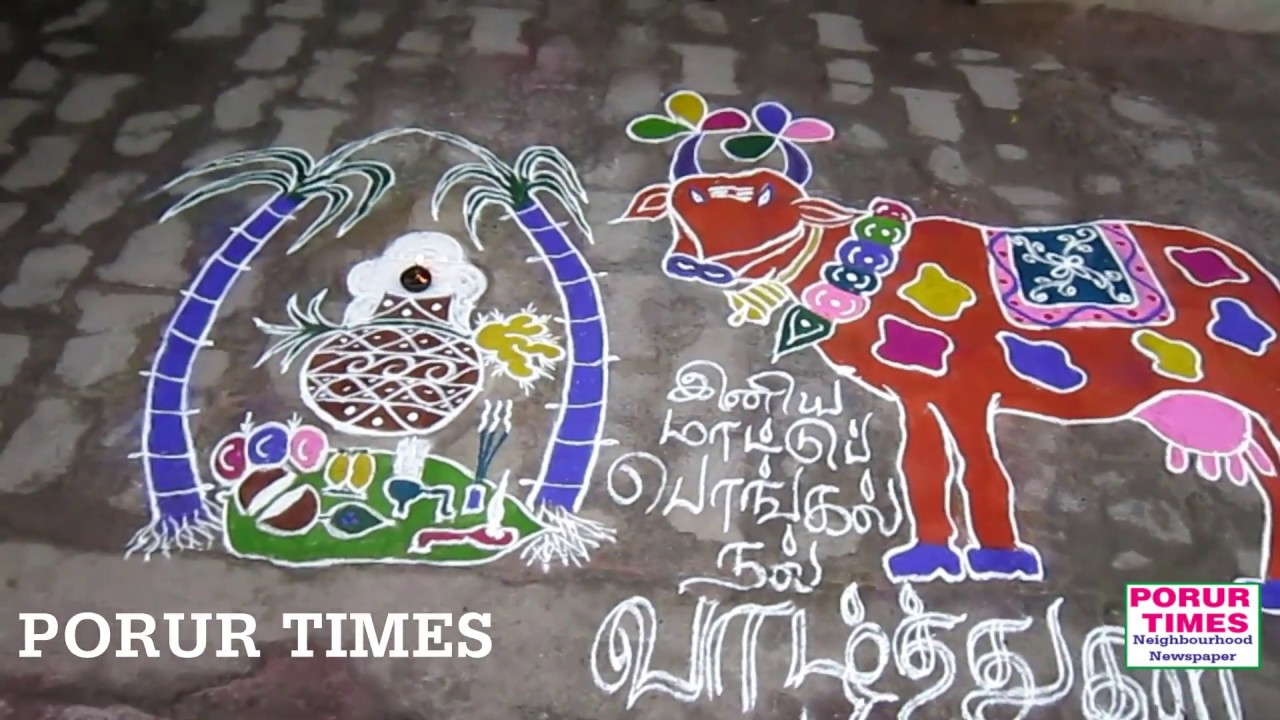 Mattu Pongal Kolam contest-2019 - YouTube