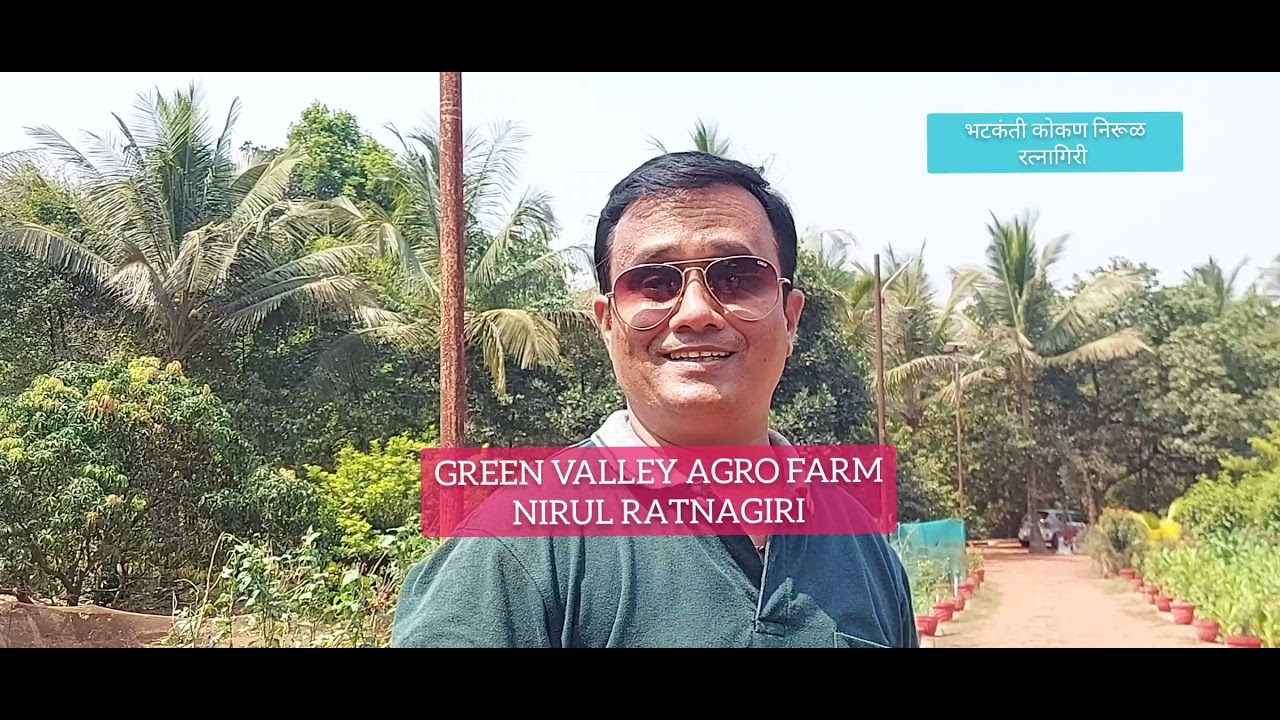 भटकंती कोकण निरूळ रत्नागिरी Green valley Agro farm Nirul Ratnagiri ...
