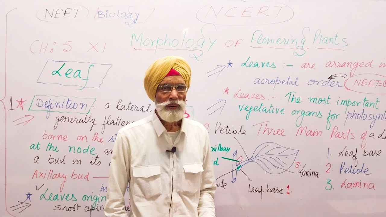 CH - 5 , Morphology Of Flowering Plants , LEAF BRIEF EXPLAIN TION Class -XI , NEET Biology NCERT ...