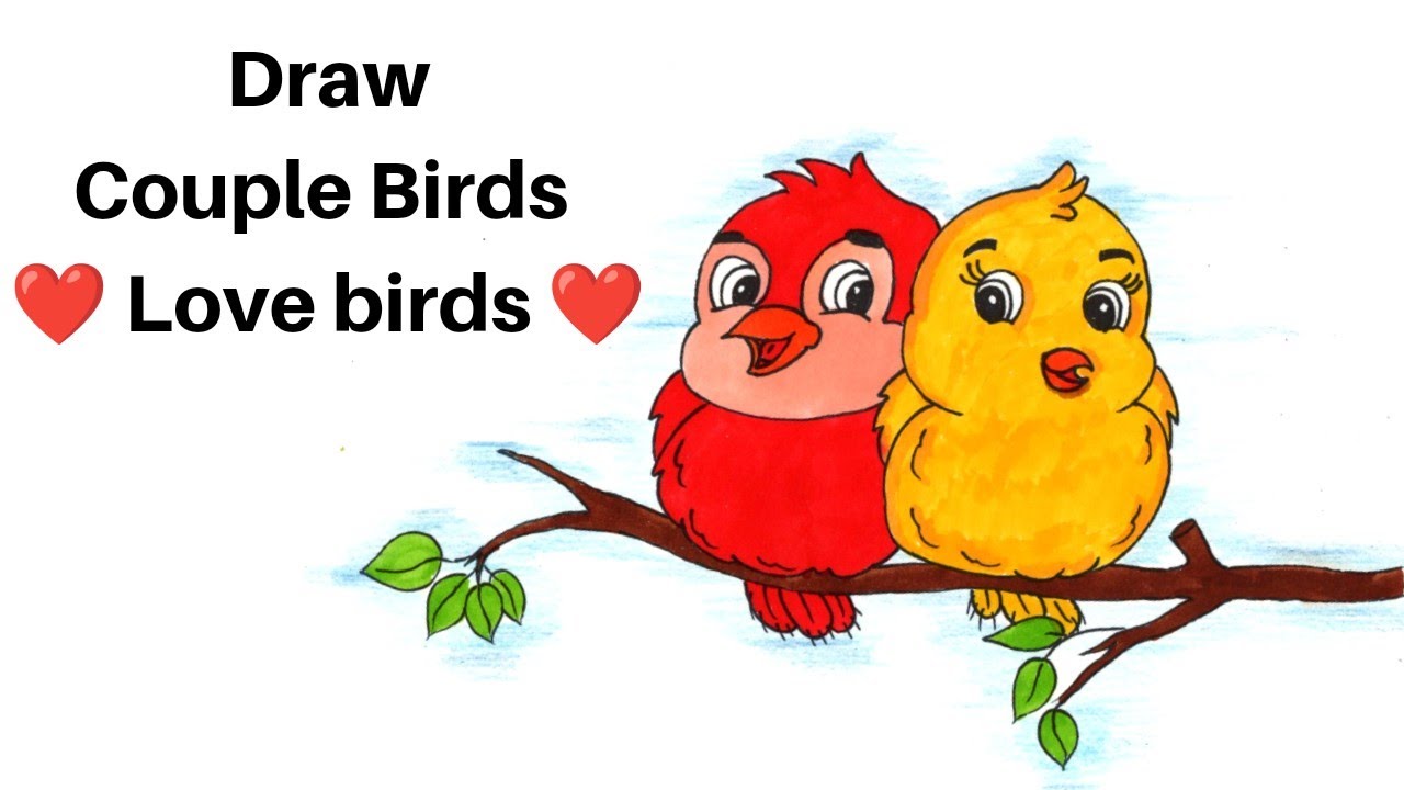 How To Draw Couple Birds Easily And Quickly Step By Step ll 23 August ...