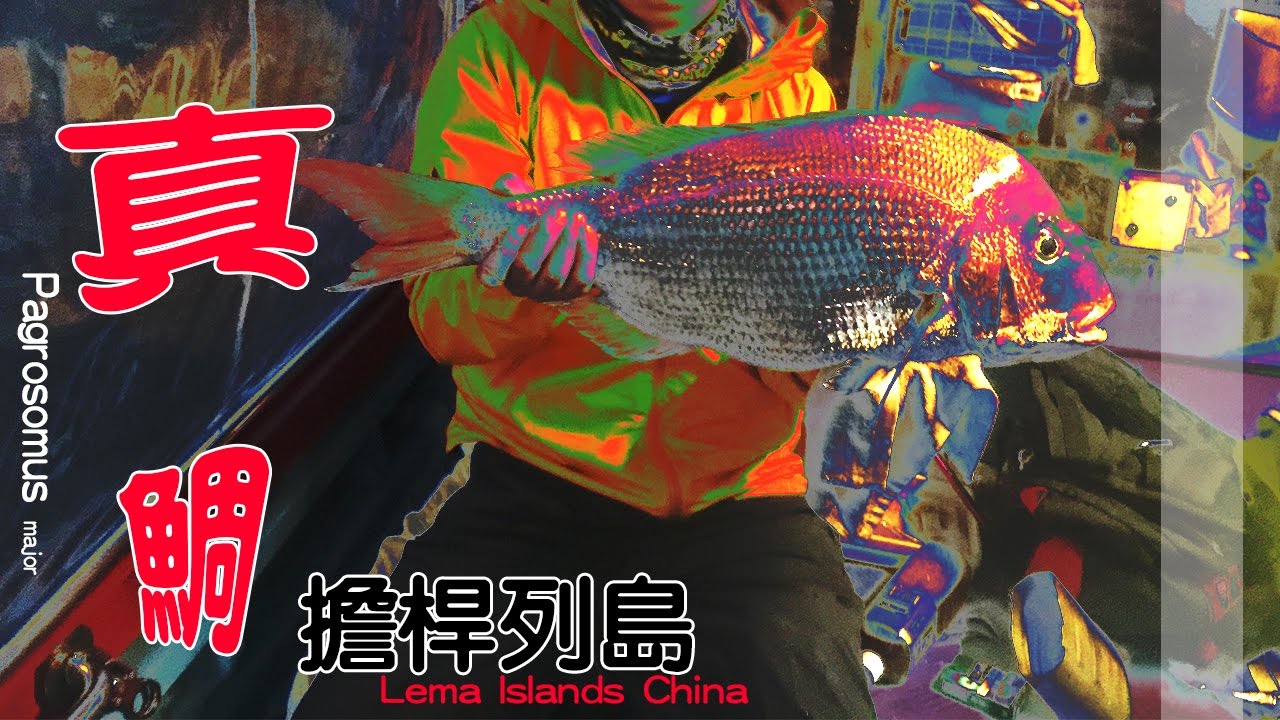 [無品釣友]China Lema Islands - 擔桿列島釣行 - YouTube