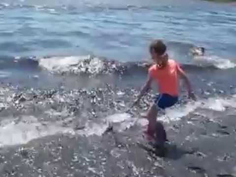 Miles De Peces Se Lanzan A La Orilla De La Playa - Impresionante! - YouTube