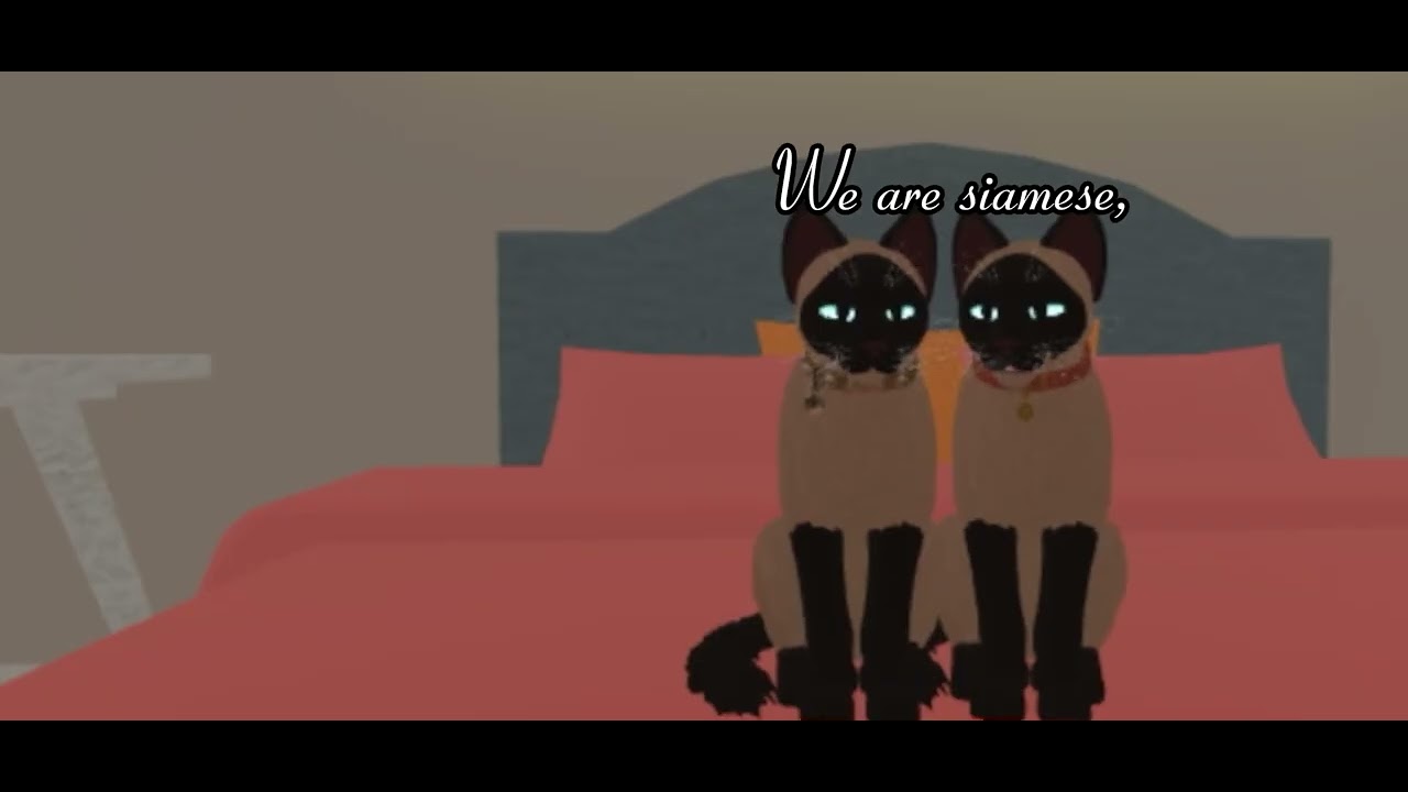 We are siamese~.. #wcue #wcuefyp #wcueroblox - YouTube