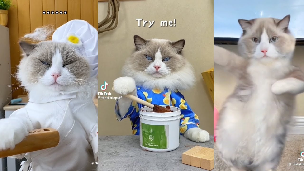 That Little Puff FUNNY Compilation №6 - YouTube