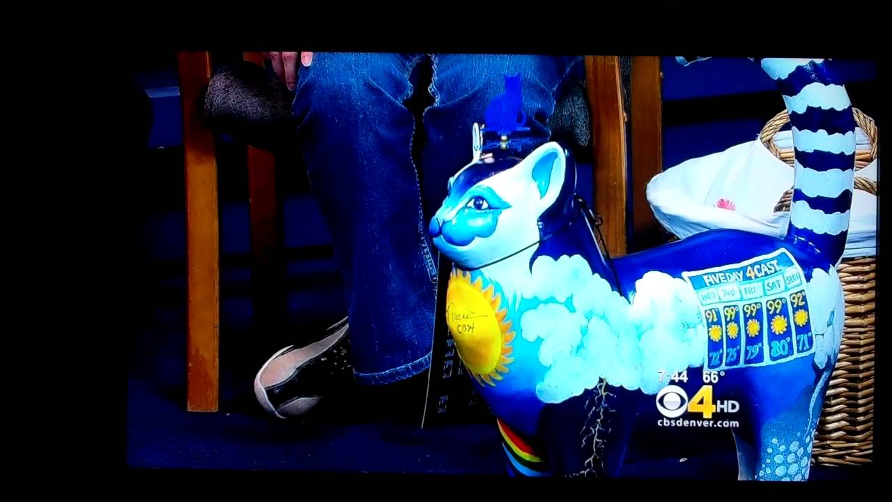 Channel 4 Welcomes CCS Kittens, The Weather Cat & Barn Cat - YouTube