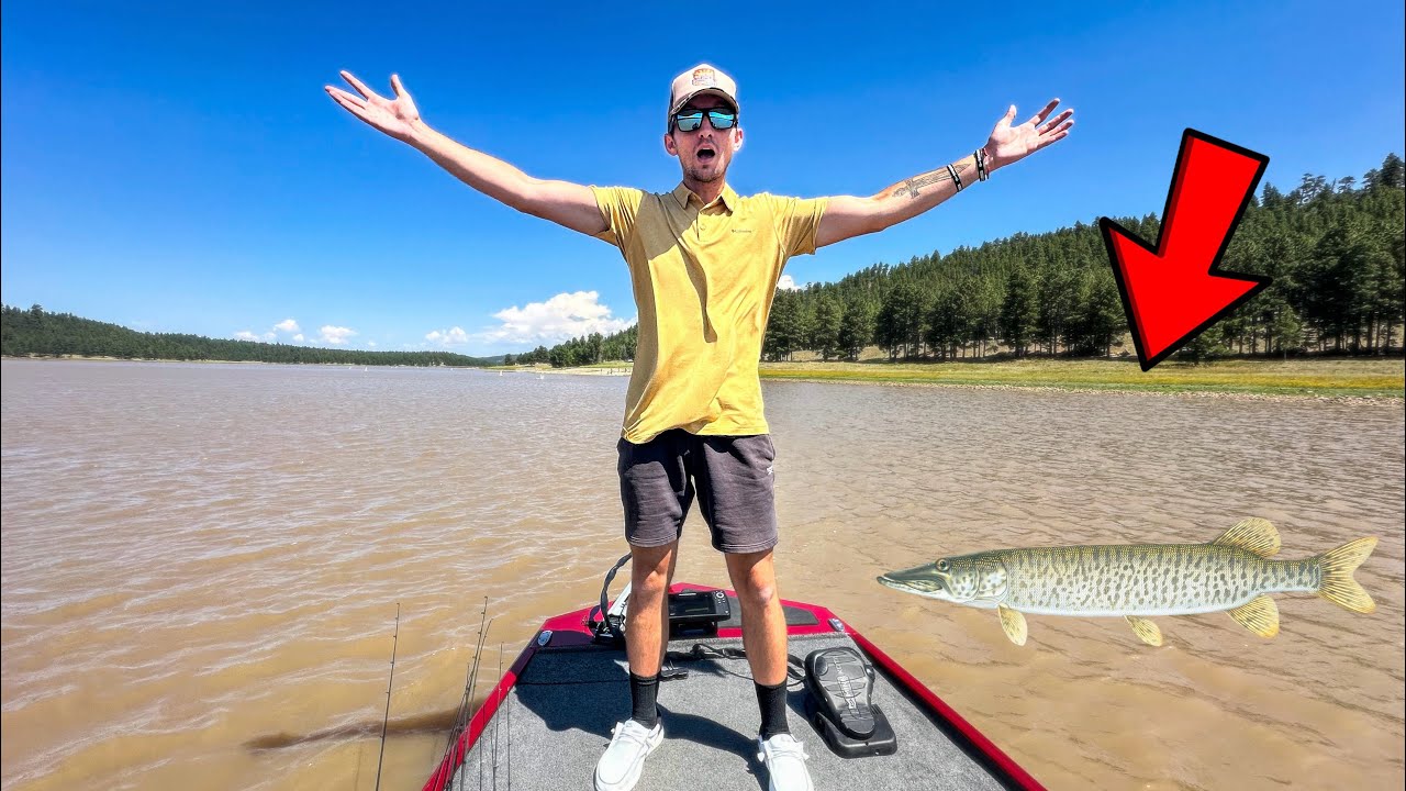 On The Hunt For BIG Toothy Fish In Murky Shallow Water - YouTube