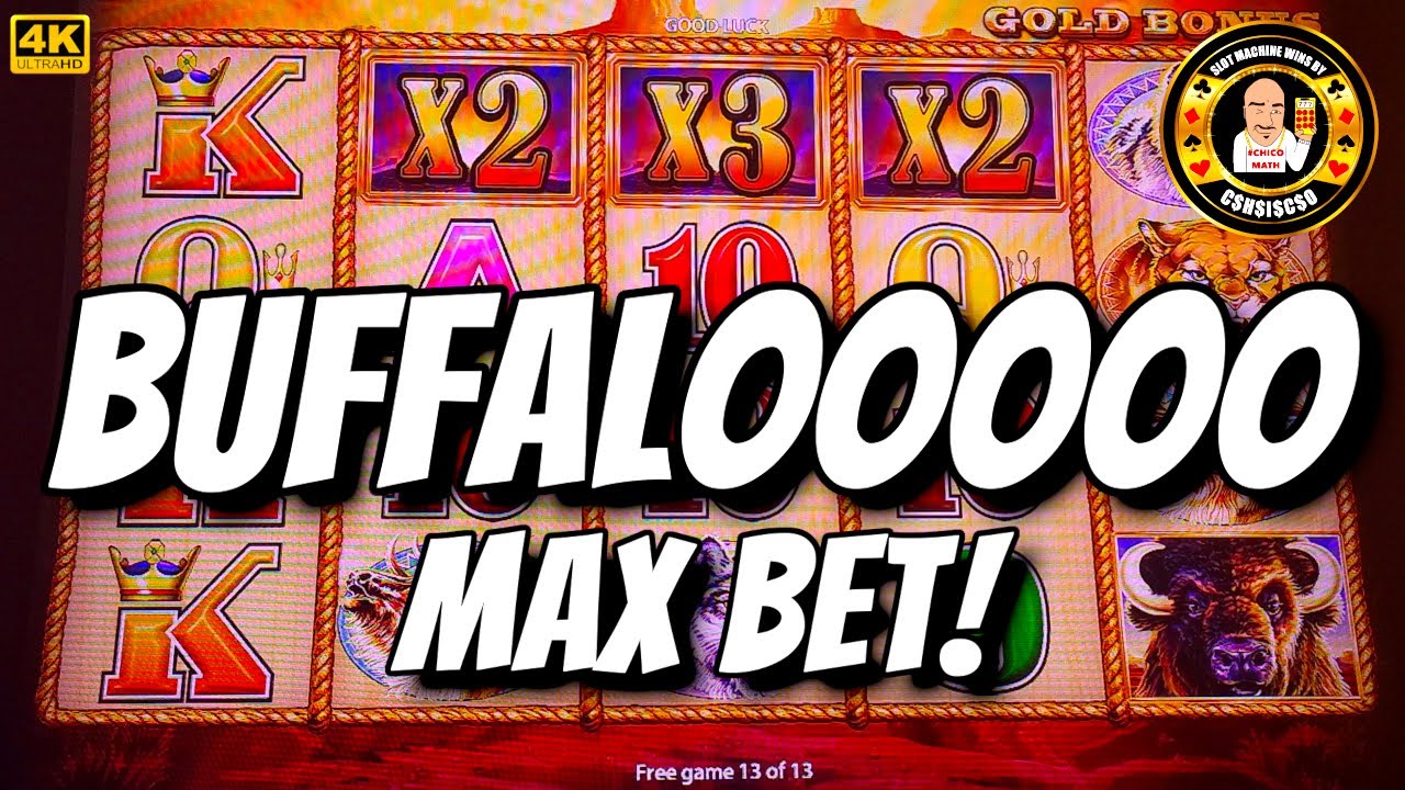 Buffalooooo - Buffalo Gold Slot Machine on MAX BET - YouTube