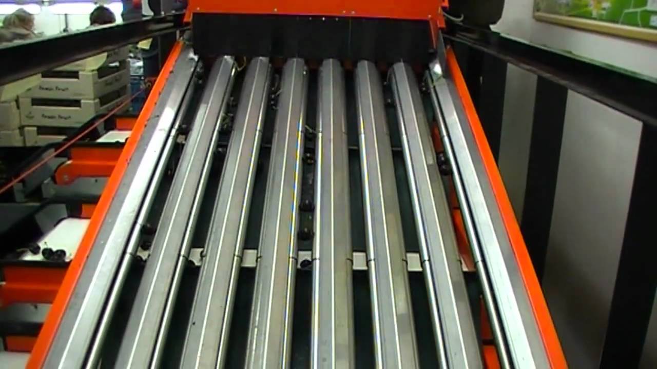 "Perfect" Cherry sorter - YouTube