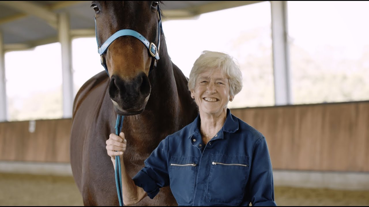 The Equine Lameness Program with Dr Sue Dyson and 30+ international ...