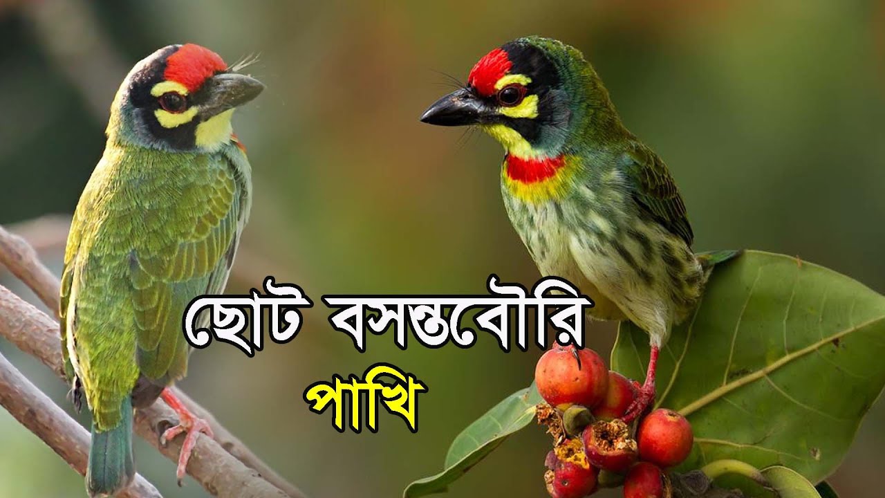 Home - Prokriti O Jibon Foundation