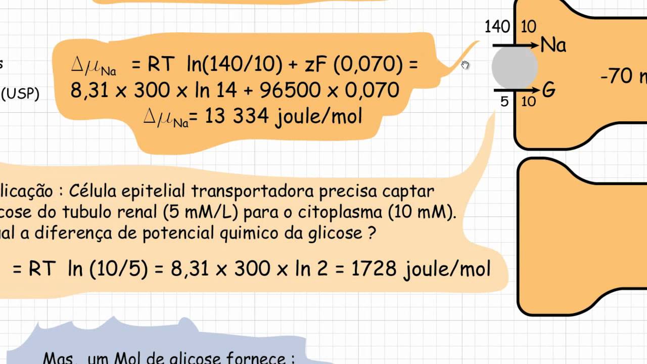 Biofisica de Membranas - Aula 6 - Força difusional - YouTube