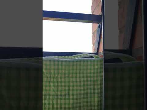 novel de verderon empezando a alargar y haciendo algunas tocadas bonitas