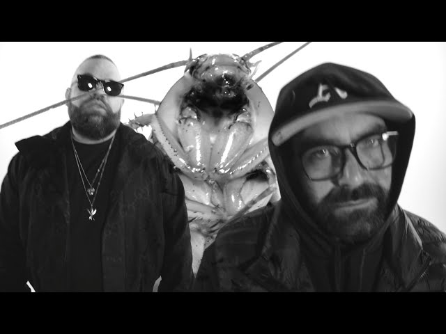 A.B. Original – King Billy CokeBottle