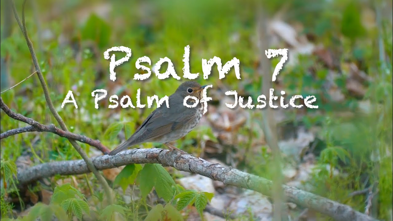 Psalm 7 | Daily Scripture | Psalm of Justice - YouTube