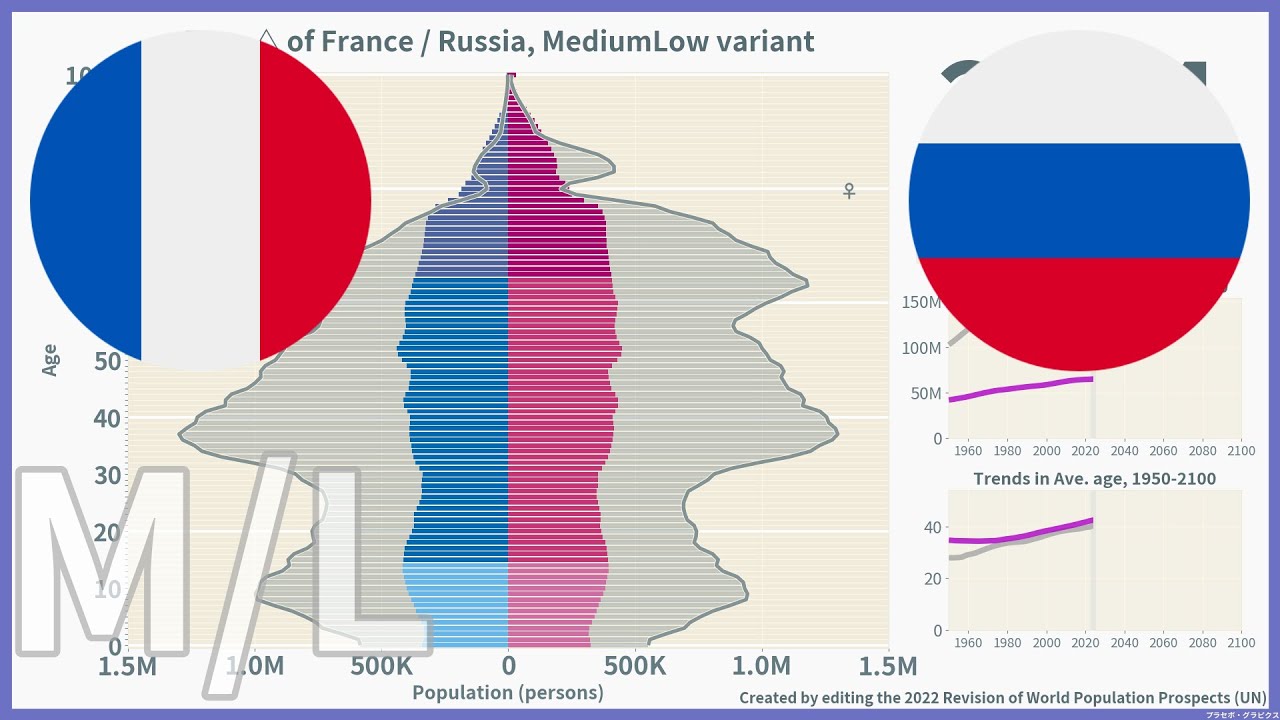 [🇫🇷France vs 🇷🇺Russia] Comparison of Population Pyramids (1950-2100 ...