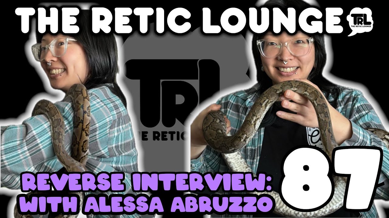 Reverse Interview with Alessa of Lilliput Pythons | The Retic Lounge ...