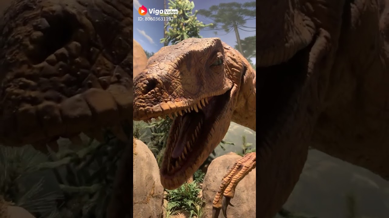 Dainasore live video very dangerous - YouTube