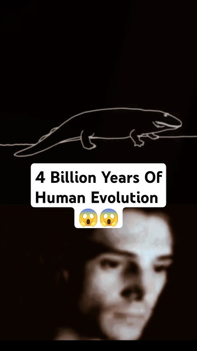 4 Billion Years of Human Evolution#Shorts#shortvideo#viralshorts# ...