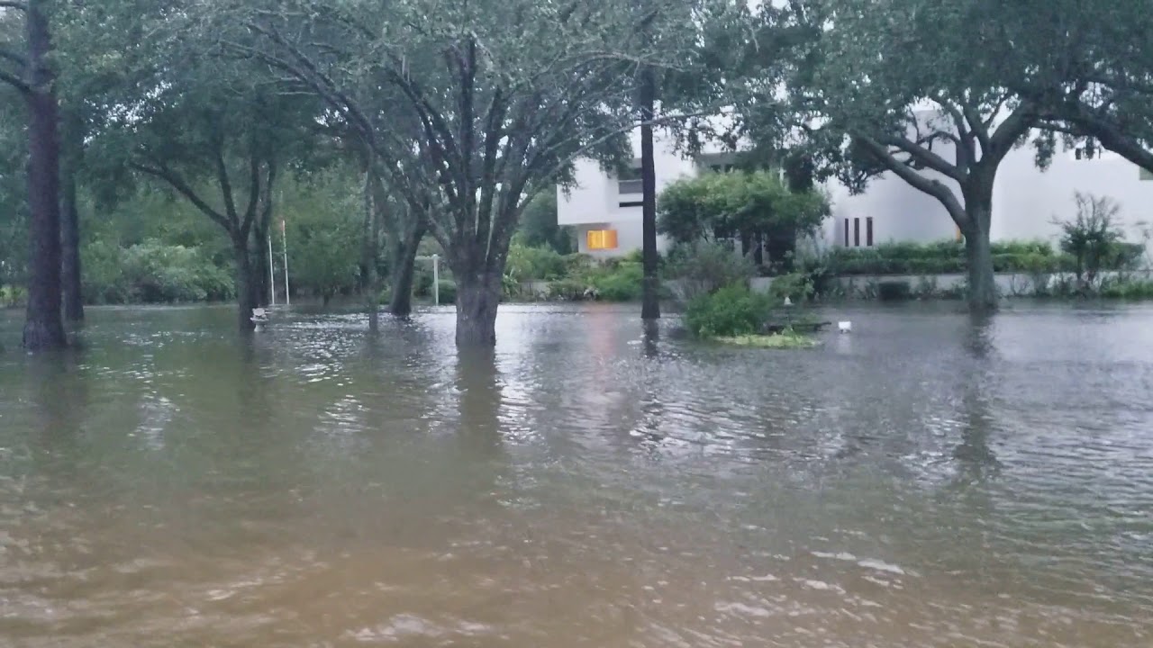 Friendswood flooding on Falling Leaf Drive - Hurricane Harvey - YouTube