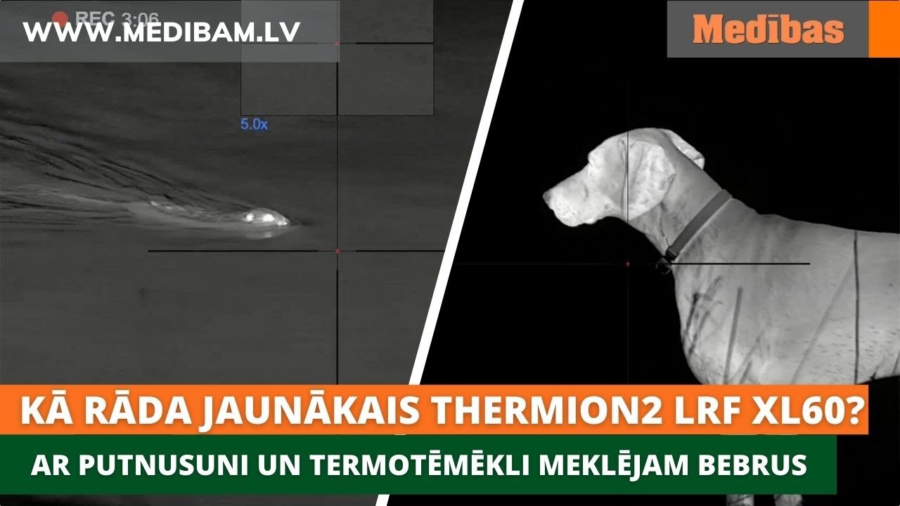 Kā rāda jaunākais Thermion2 LRF XL60? Ar putnusuni un termotēmēkli meklējam bebrus - YouTube
