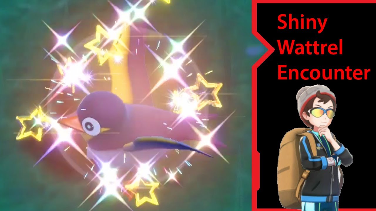 Shiny Wattrel - Pokemon Violet - YouTube