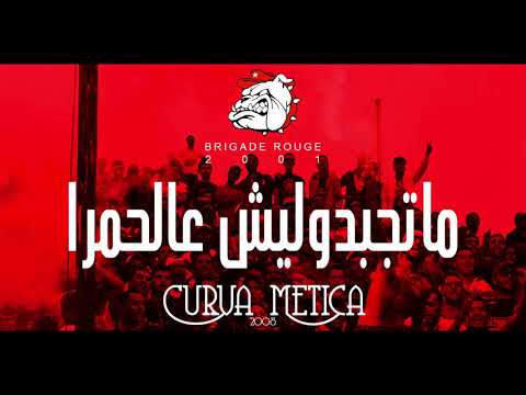 من أقوى أغاني النجم الساحلي
