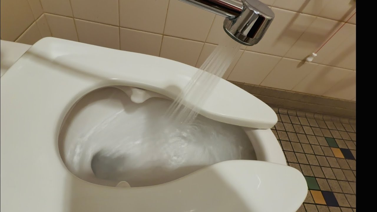 American Standard Afwall Toilet Flush with Bedpan Lugs & Washer ...