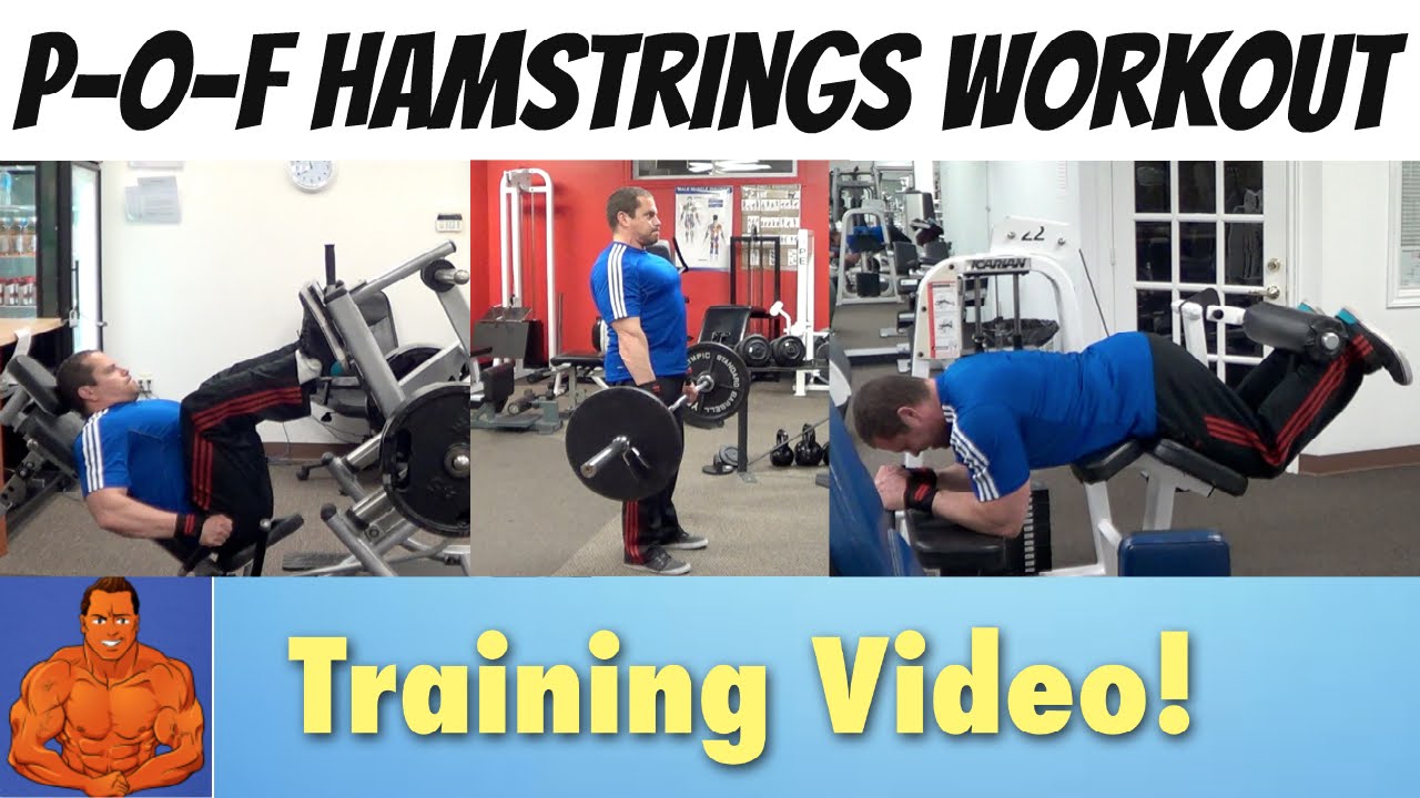 Positions Of Flexion Hamstrings Workout - YouTube