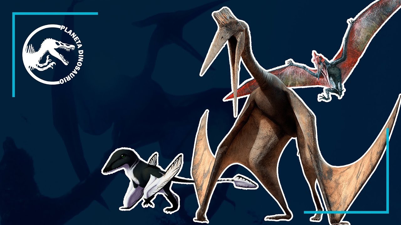 Los 7 Familiares del Pterodáctilo - YouTube