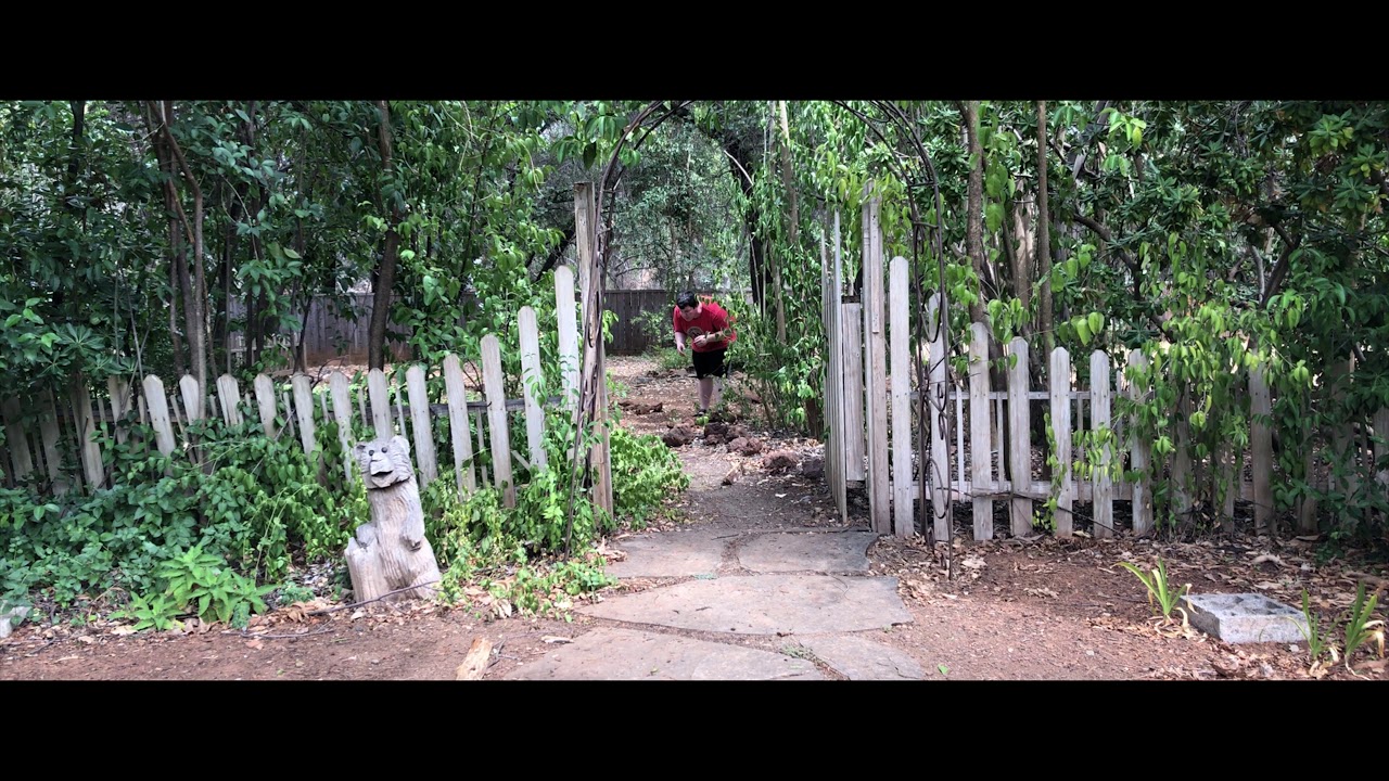 The Red Elk - YouTube