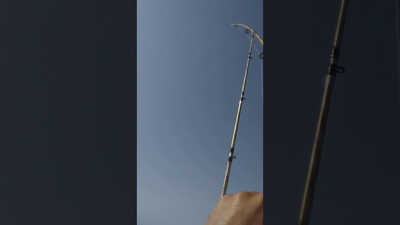 Manduba de la ribera de quilmes - YouTube