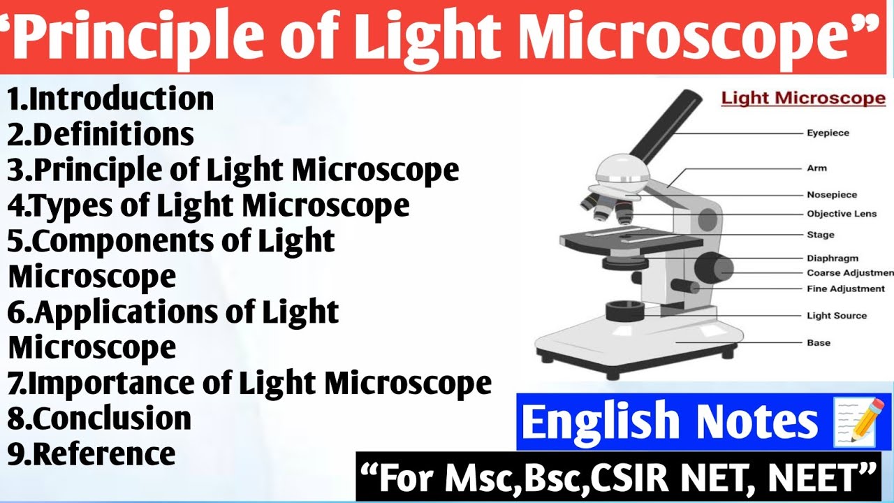Principle of Light Microscope | Types of Light Microscope | English ...