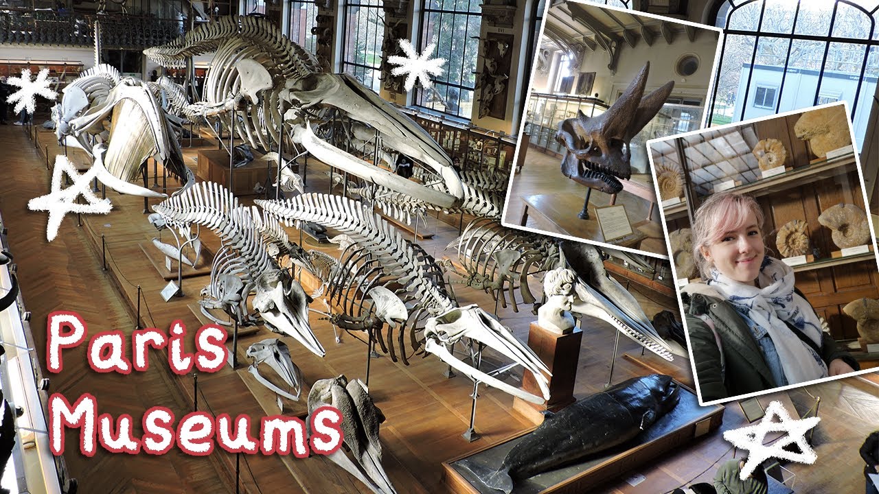 Paris 2020 || Natural History Museum / Muséum National d'Histoire ...