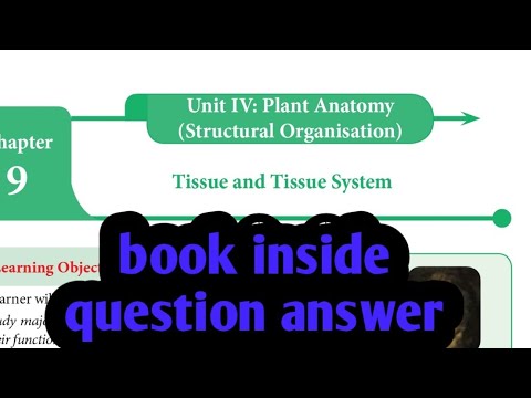 11 th std bio botany (em) /9th lesson/ book inside question answer ...