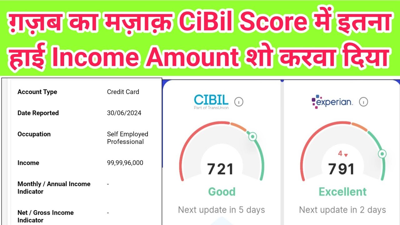 CiBil Score में इतना High Income Amount शो करवा रहे हैं Live देख लो ...