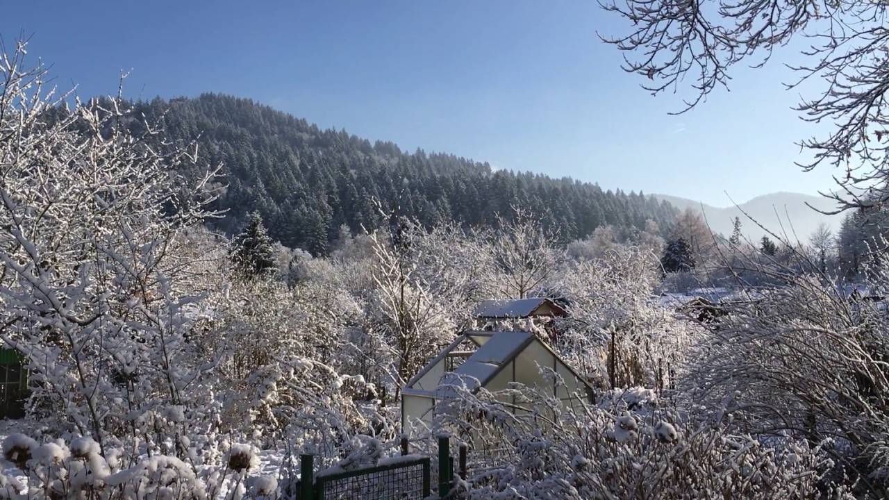 Freiburg Winter Spaziergang Erster Schnee Eis Sonne Winterlandschaft ...