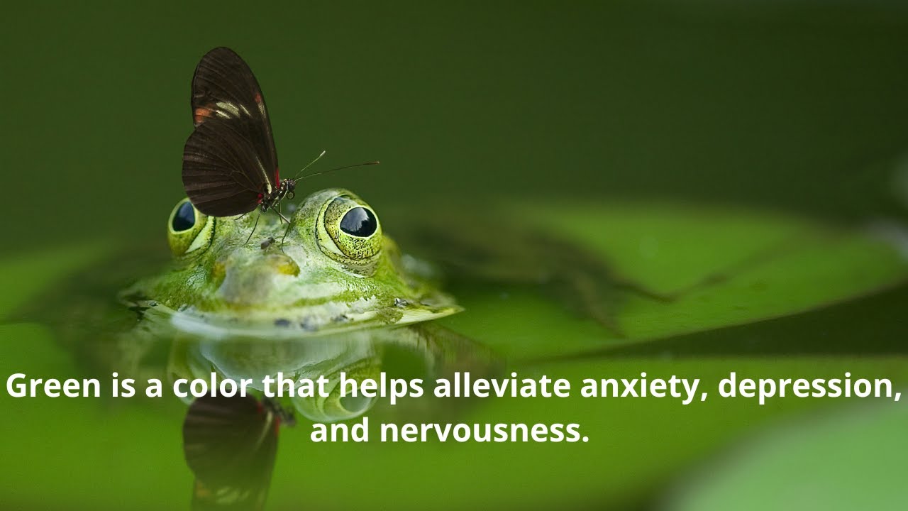 Relieve Anxiety. Green is a color that helps alleviate anxiety ...