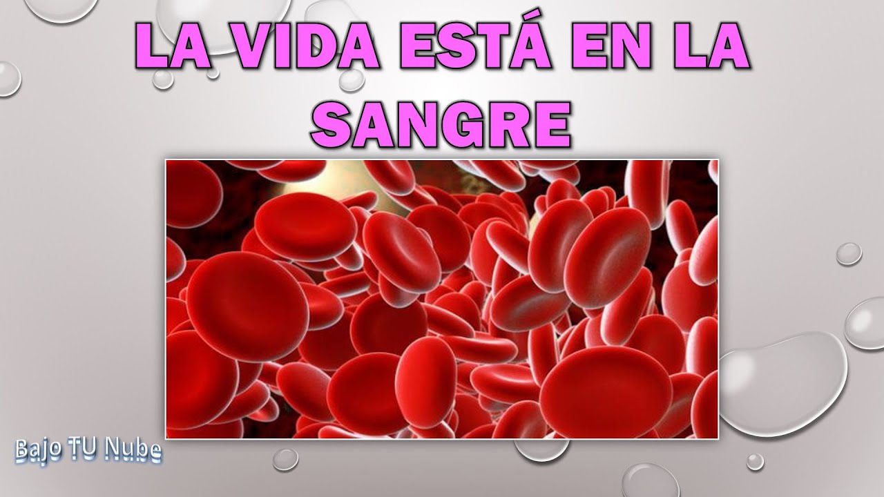 LA VIDA ESTÁ EN LA SANGRE - YouTube