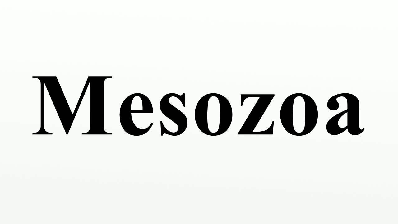 Mesozoa - YouTube