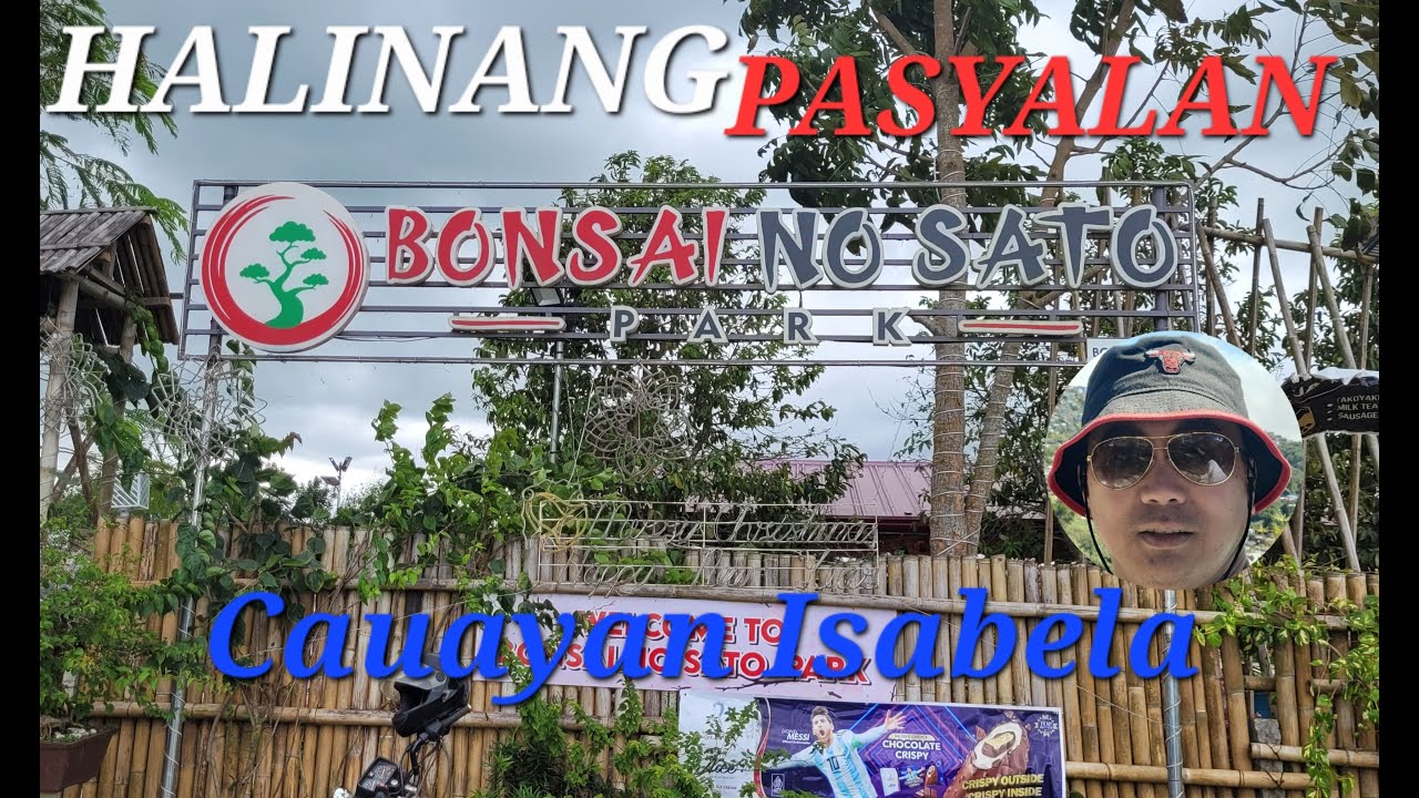 HALINANG PASYALAN ANG MALILIIT NA PUNO | BONSAI NO SATO | CAUAYAN ...