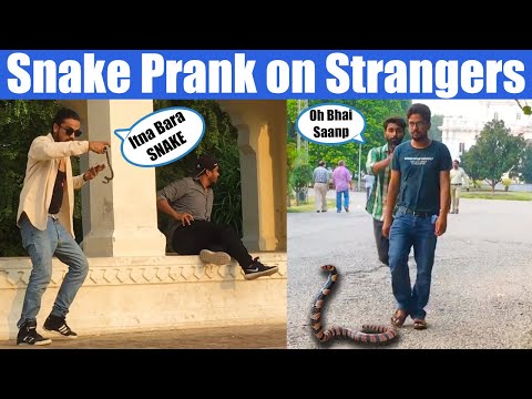 Snake Prank on Strangers | Pranks in Pakistan | Prankster Boys