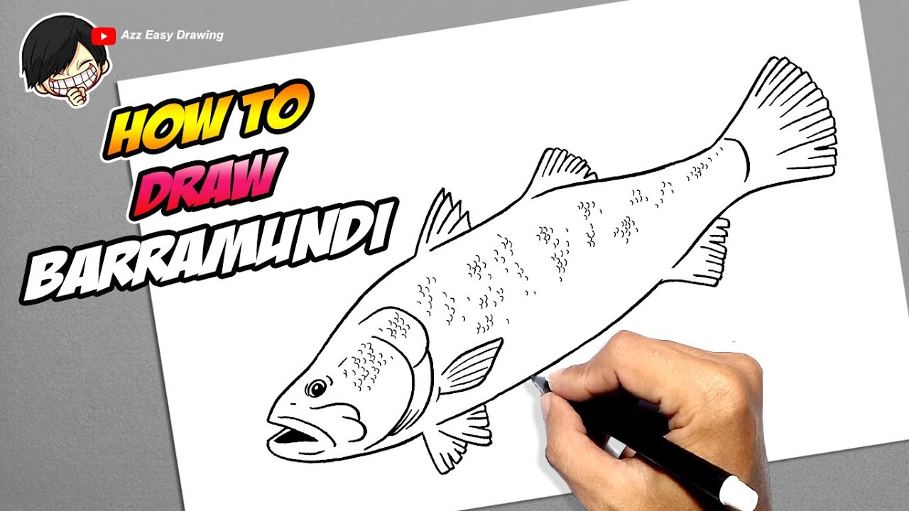 How to draw Barramundi Fish - YouTube