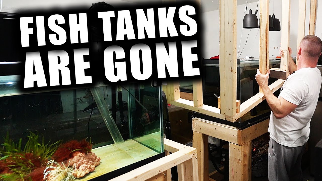 STARTING THE REAL AQUARIUM GALLERY! - The king of diy - YouTube